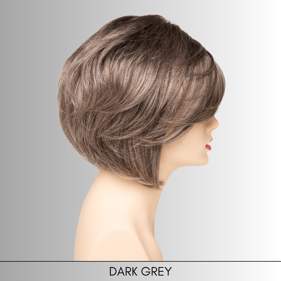 Juliet - Synthetic Wig Collection by Envy – Spellbound